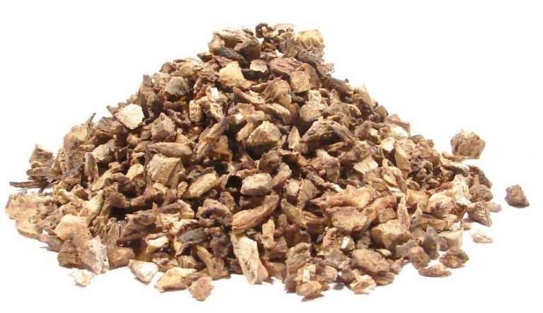 DIY Burdock Root Recipe