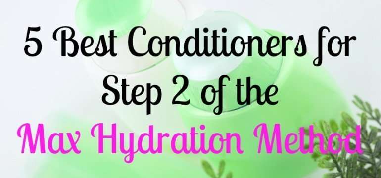 5 Best Conditioners for Step 2 of the Max Hydration Method | Natural ...