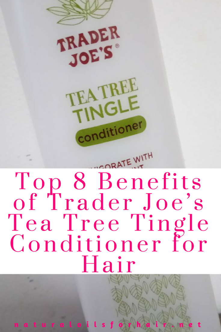 Product Review: Trader Joe’s Tea Tree Tingle Conditioner | Natural Oils for Hair & Beauty